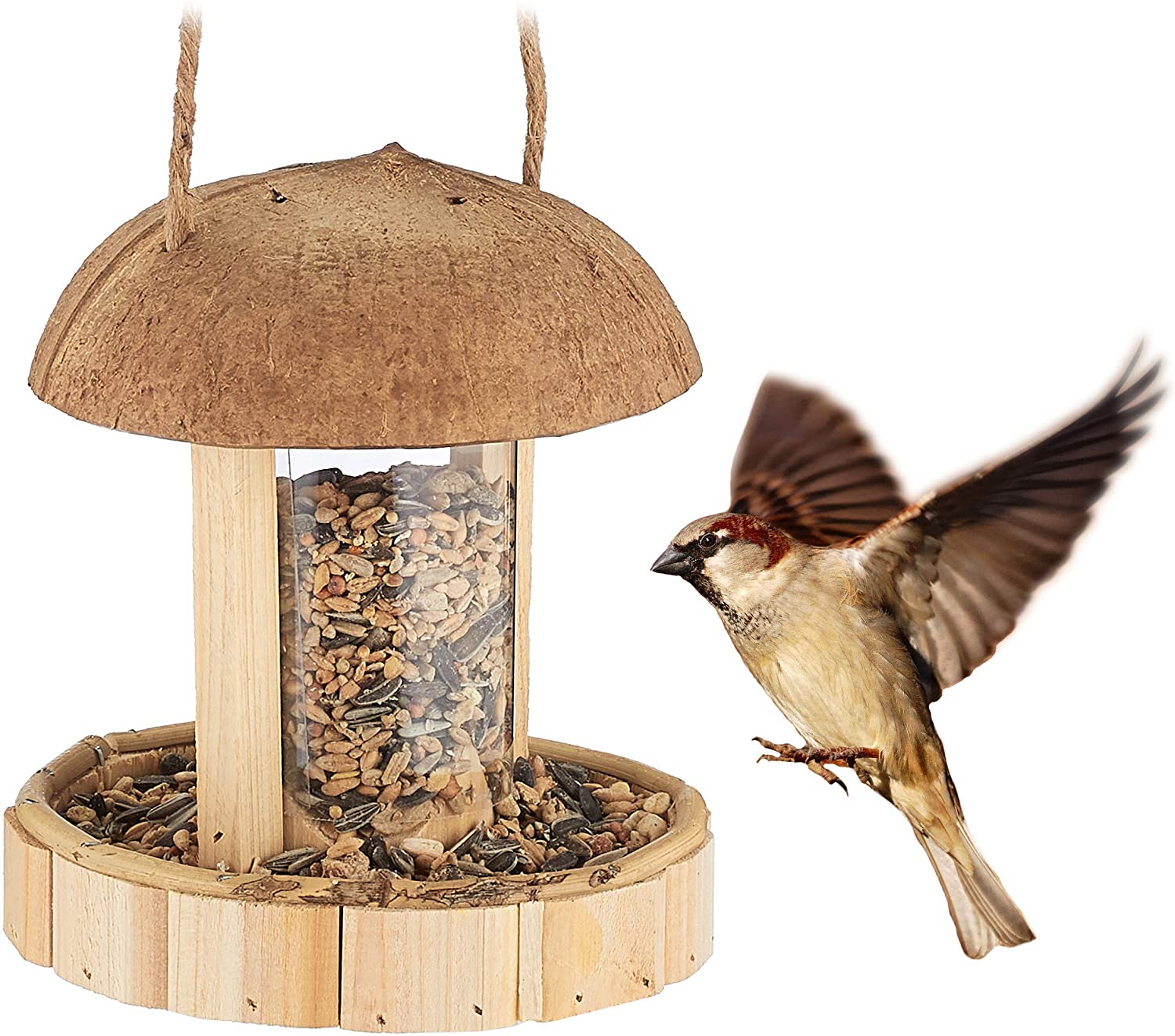 Comederos para pájaros en libertad ⭐ Para terraza y balcón⭐